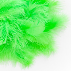 Plunksnos, pluoštai - Dolovija