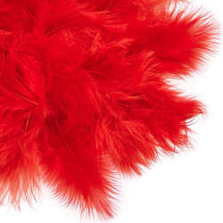 Plunksnos, pluoštai - Dolovija